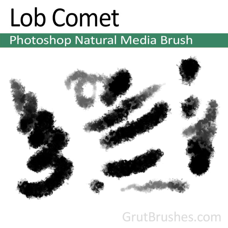 Photoshop Natural Media Brush - Lob Comet - Grutbrushes.com