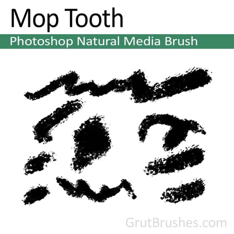 Photoshop Natural Media Brush - Mop Tooth - Grutbrushes.com