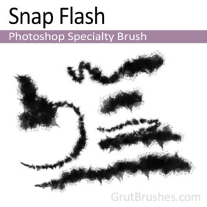 Photoshop Specialty Brush - Snap Flash - Grutbrushes.com